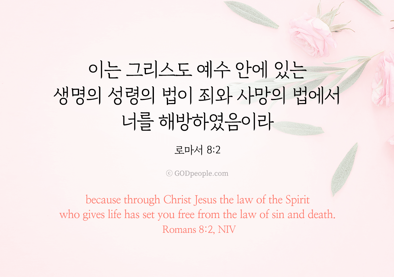 2026.1.17 갓피플 오늘의말씀 | 갓피플